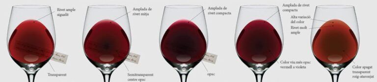 La couleur du vin et ses facteurs - Excellent Cork